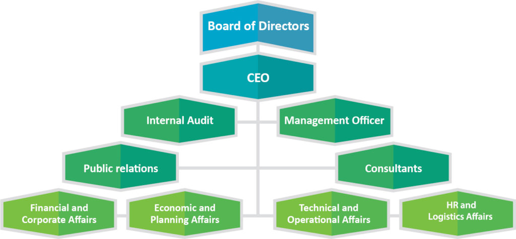 Company’s structure - SANA Investment Co